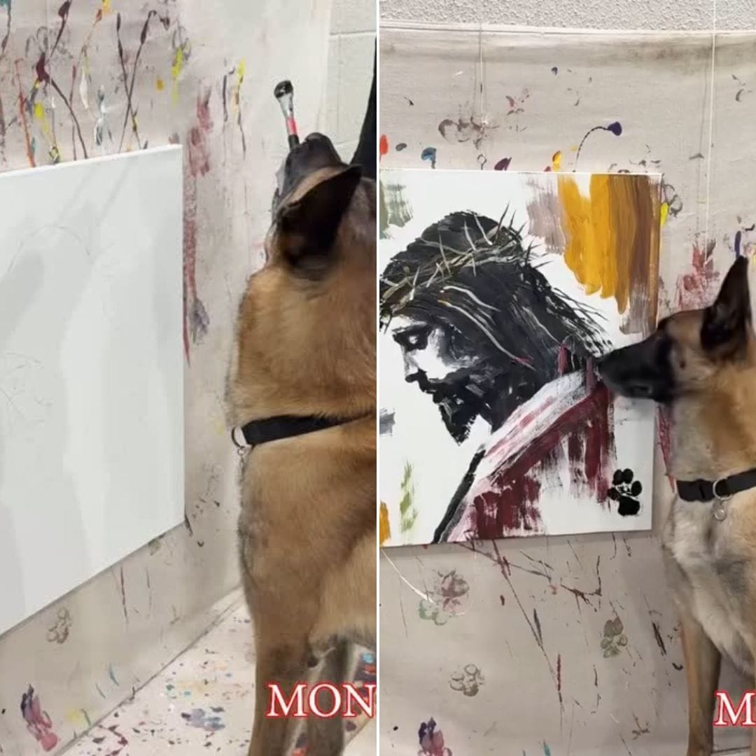 Cachorro treinado pinta o rosto de Jesus e viraliza nas redes sociais