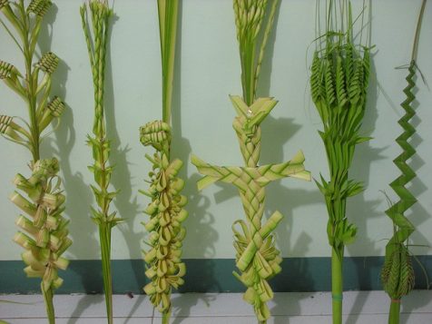 16 coisas incríveis feitas com os ramos do Domingo de Ramos